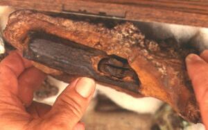 400 Million Year Old Hammer discovered In Texas The London ...