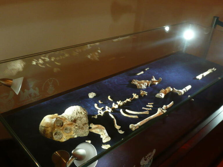 9-Year-Old Kid Literally Stumbled on Stunning Fossils of a New Hominid ...