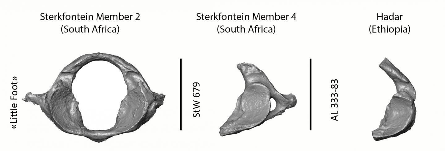 ‘Little Foot’ skull reveals how this more than 3 million-year-old human ...