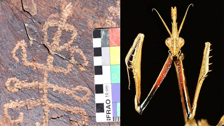 Prehistoric ‘Mantis Man’ Petroglyph Discovered In Iran | ARCHAEOLOGY WORLD