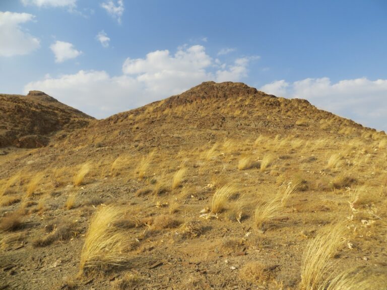 Prehistoric ‘Mantis Man’ Petroglyph Discovered In Iran | ARCHAEOLOGY WORLD