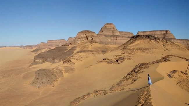 Early humans feasted on fish in the Sahara Desert 10,000 years ago ...