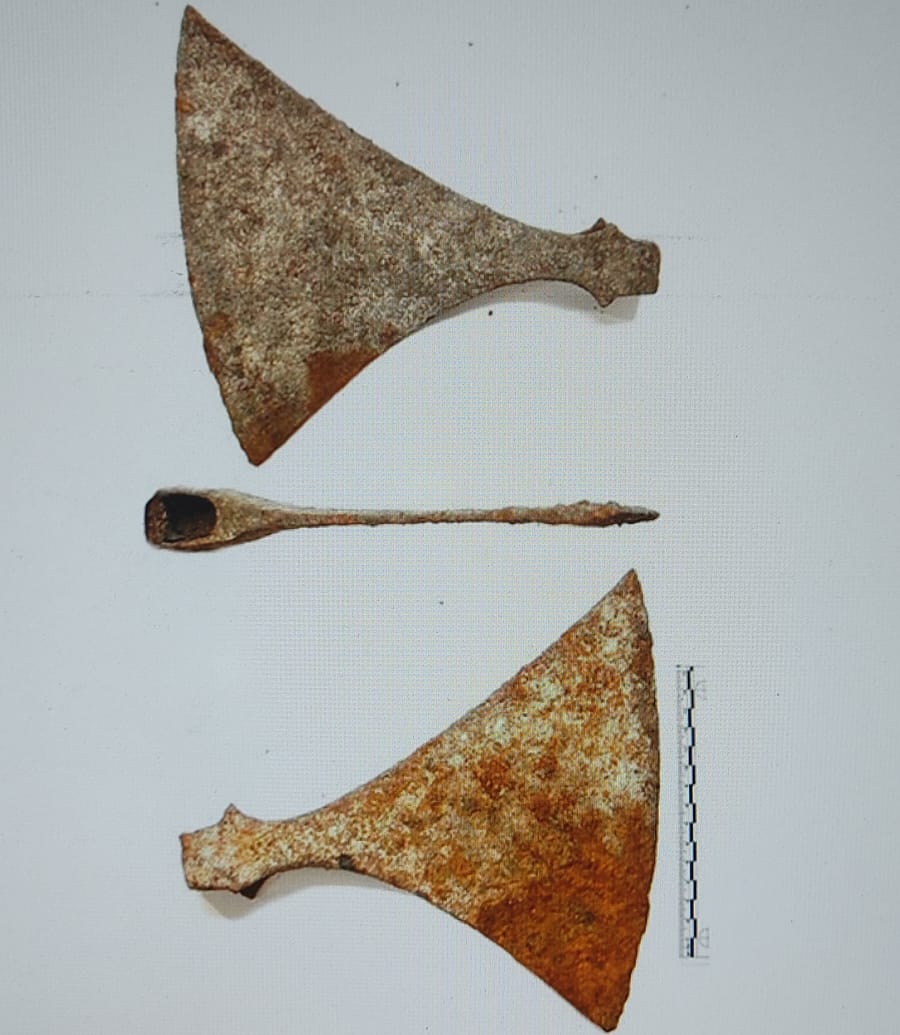 Norway couple find Viking grave under floor of their house ...