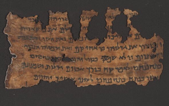 The Dead Sea Scrolls contain genetic clues to their origins ...