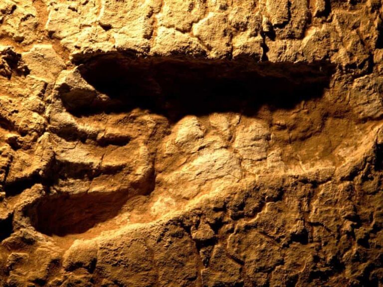 42,000 years old Mungo Man skeleton, the oldest human remains found in ...