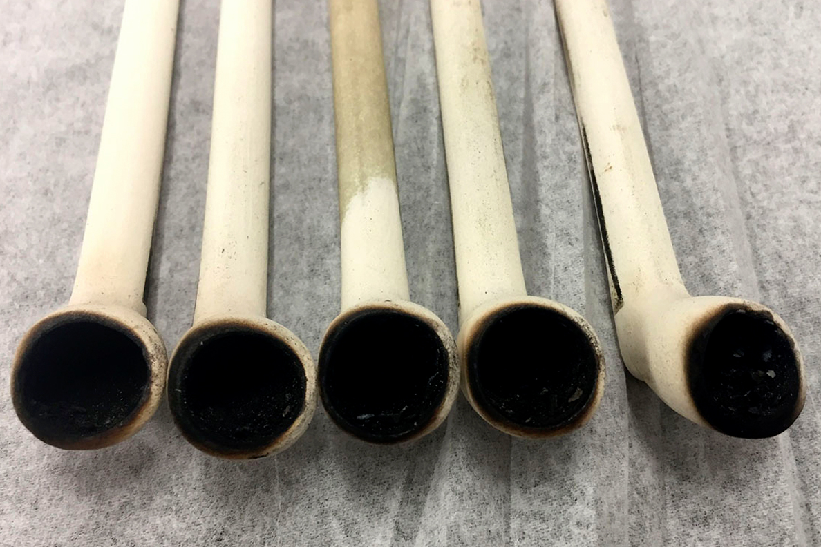New Plant Identified in 1,400-Year-Old Pipe in Washington | ARCHAEOLOGY ...