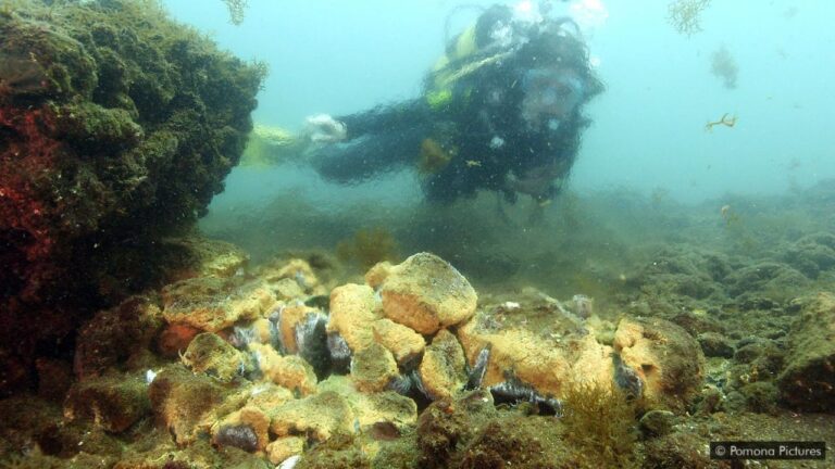 A Roman settlement at the bottom of the sea | ARCHAEOLOGY WORLD