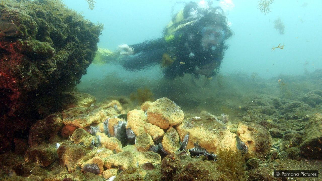 A Roman settlement at the bottom of the sea | ARCHAEOLOGY WORLD