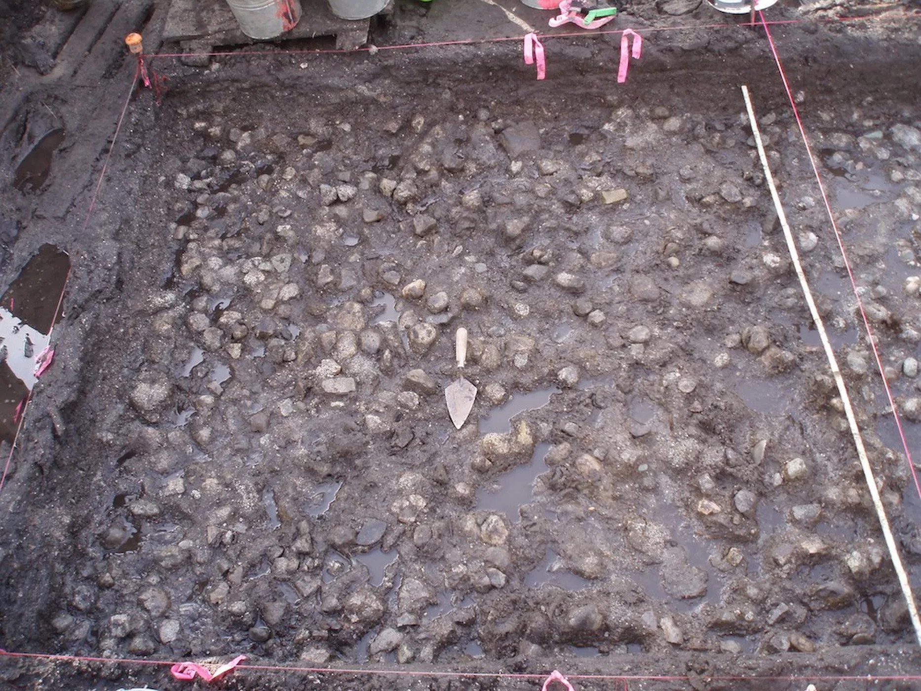 3,800-year-old Underwater Potato Garden Uncovered in Canada ...