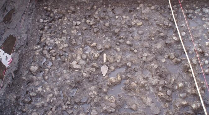 3,800-year-old Underwater Potato Garden Uncovered in Canada ...