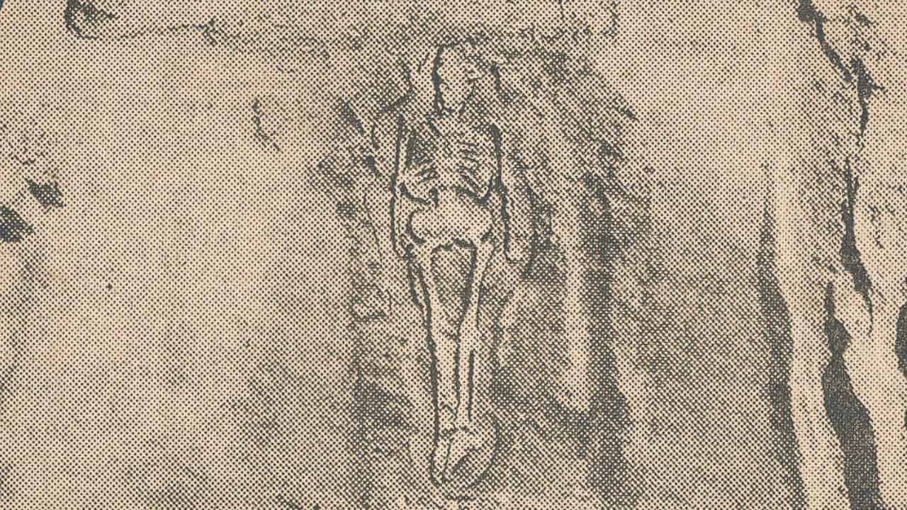Giant “Skeletons of Enormous Size” Discovered In New Mexico – New York ...