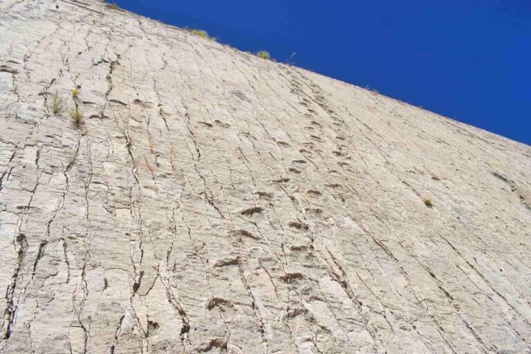 Wall In Bolivia Contains More Than 5,000 Dinosaur Footprints ...