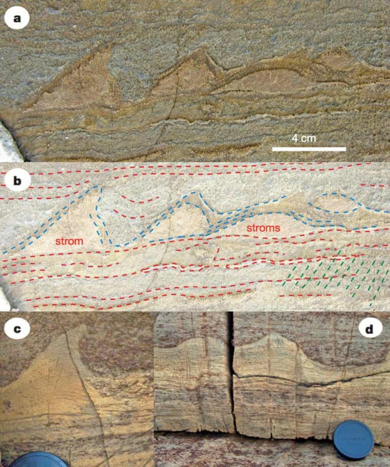 Oldest fossils on Earth discovered in 3.7bn-year-old Greenland rocks ...