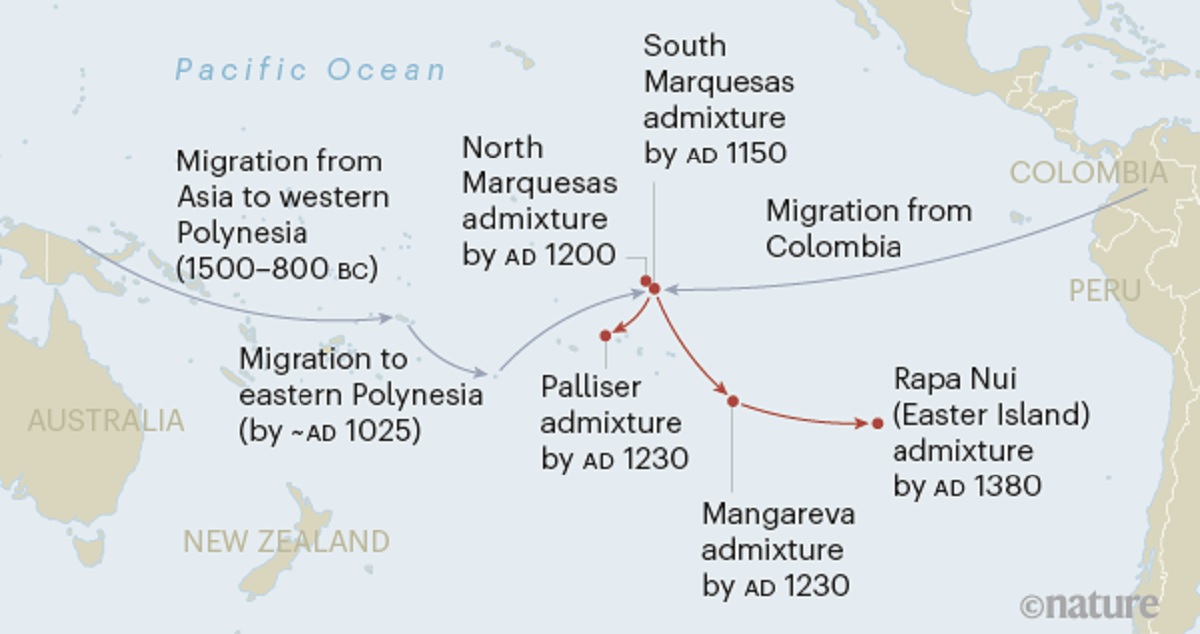 Native Americans may have reached Polynesia long before Europeans ...