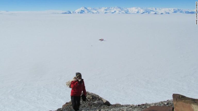 Scientists discover 280-million-year-old fossil forest in Antarctica ...