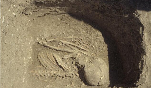 DNA reveals origins of first European farmers | ARCHAEOLOGY WORLD