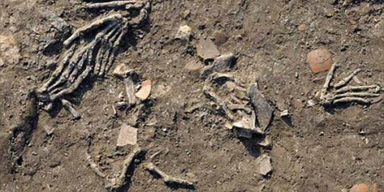 An amazing discovery in Egypt – The bones of a 3600-year-old giant palm ...
