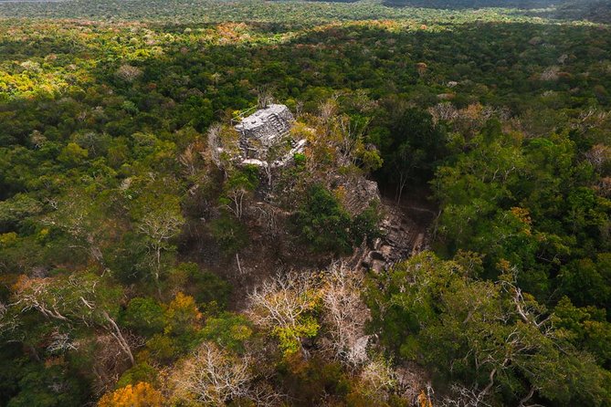 One of the Largest Pyramids on Earth is Hidden Beneath the Forest ...