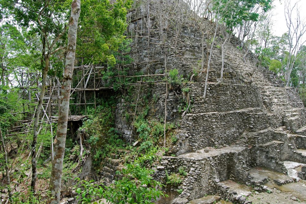 Hidden in Jungle 3 | ARCHAEOLOGY WORLD