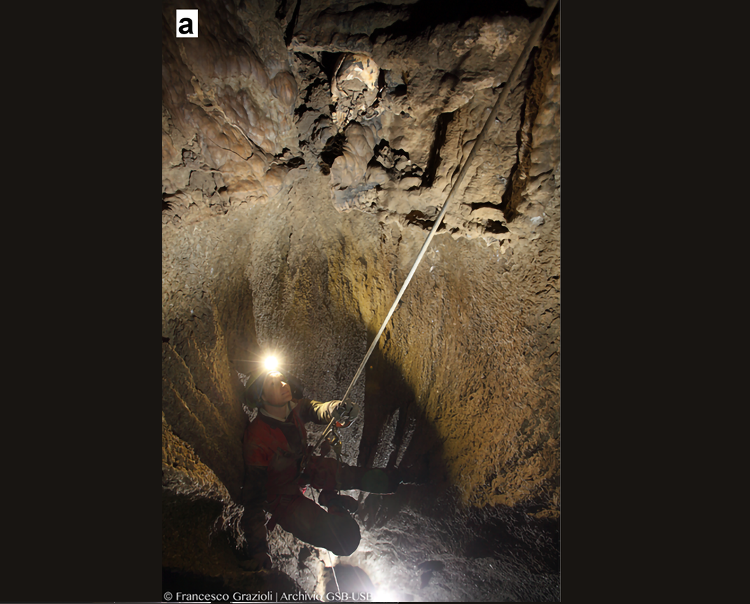 Archaeologists Solve Mystery of 5,600-Year-Old Skull Found in Italian ...
