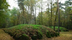 Sprawling 5,000-year-old cemetery and fortress discovered in Poland ...
