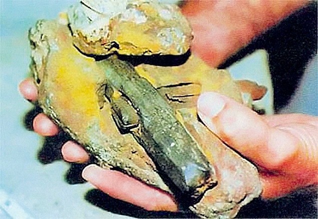 400 Million Year Old Hammer discovered In Texas The London ...