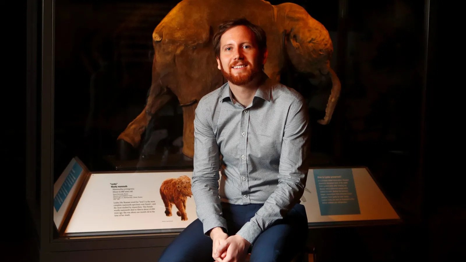 Teenage woolly mammoth with soft tissues intact found on Yamal ...