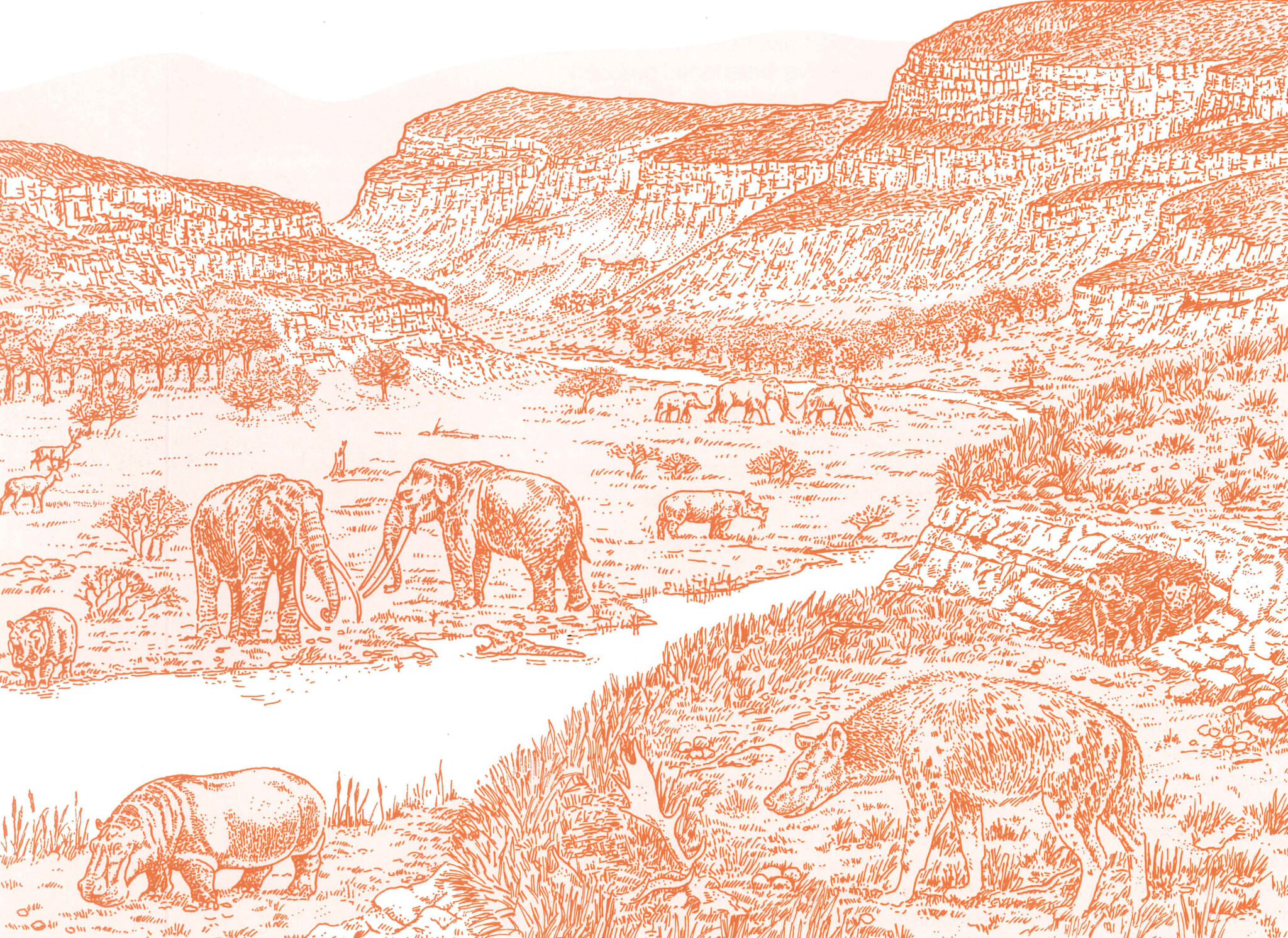 Victoria Cave: The underground Dales cavern that changed history ...