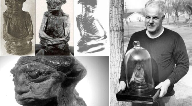 Pedro: The Mysterious Mountain Mummy