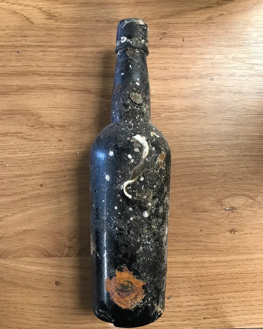 The treasure inside beer lost in a shipwreck 120 years ago ...