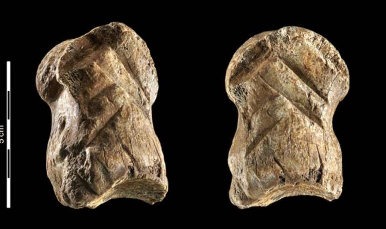 A 51,000-year-old engraved bone reveals Neanderthals’ capacity for ...
