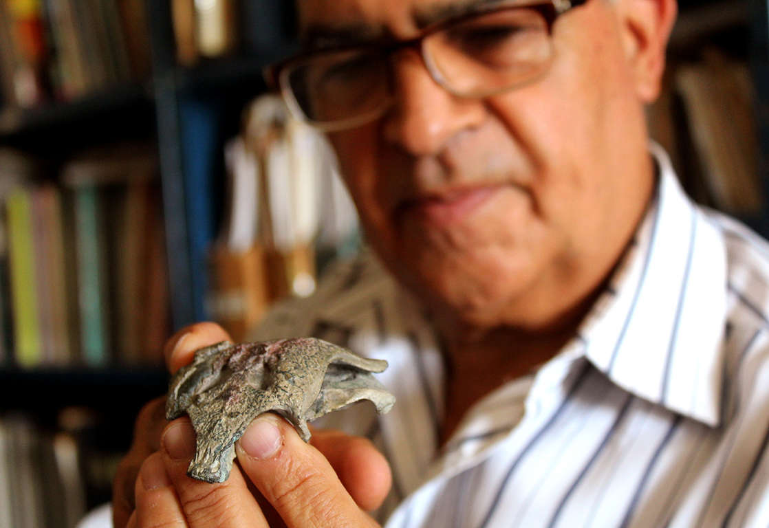 Modern crocodile’s ‘grandfather,’ 150 million years old, discovered in ...