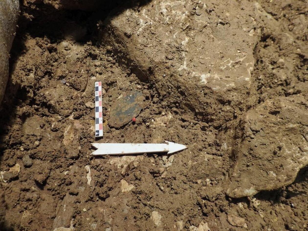 Artefact Found in Germany Hints at Neanderthal Hunting Practices ...