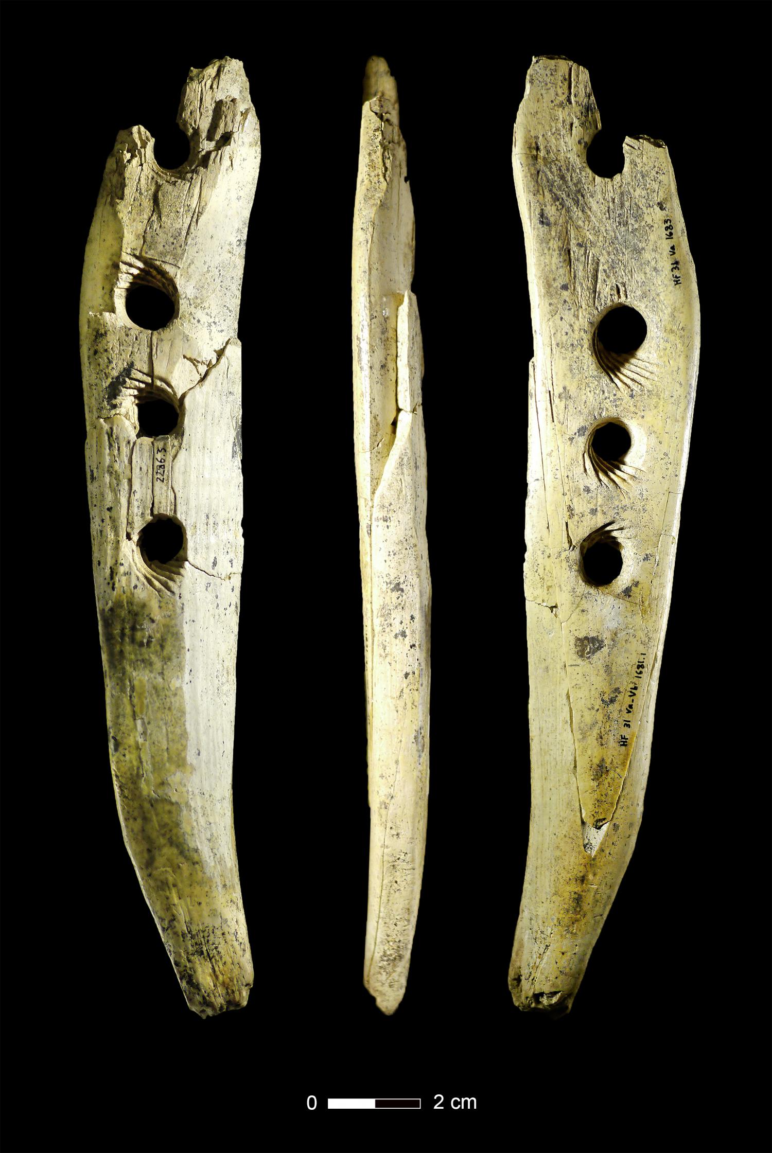 Scientists decode how ropes were made 40,000 years ago | ARCHAEOLOGY WORLD