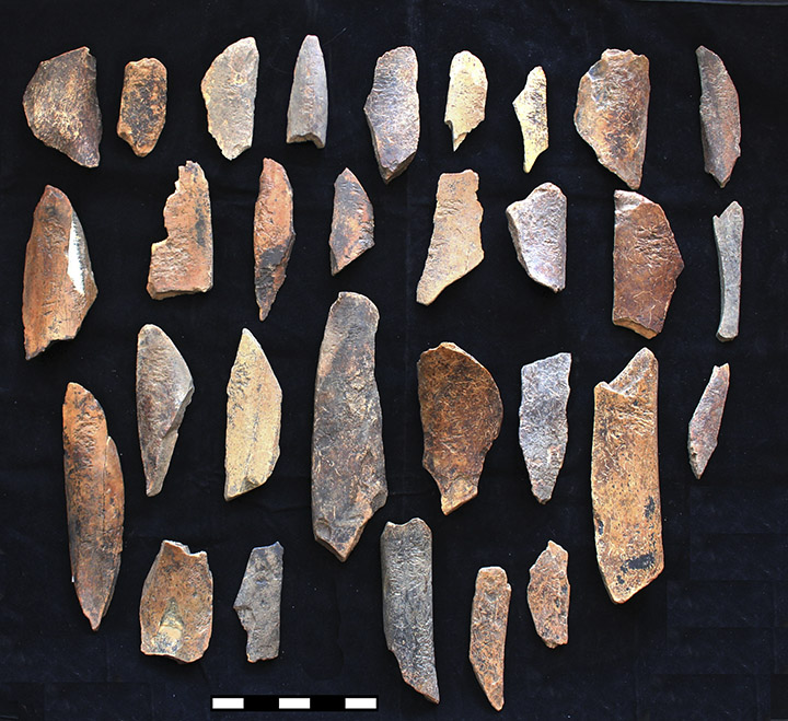 In a Siberian cave, a 60,000-year-old Neanderthal ‘Swiss Army Knife ...