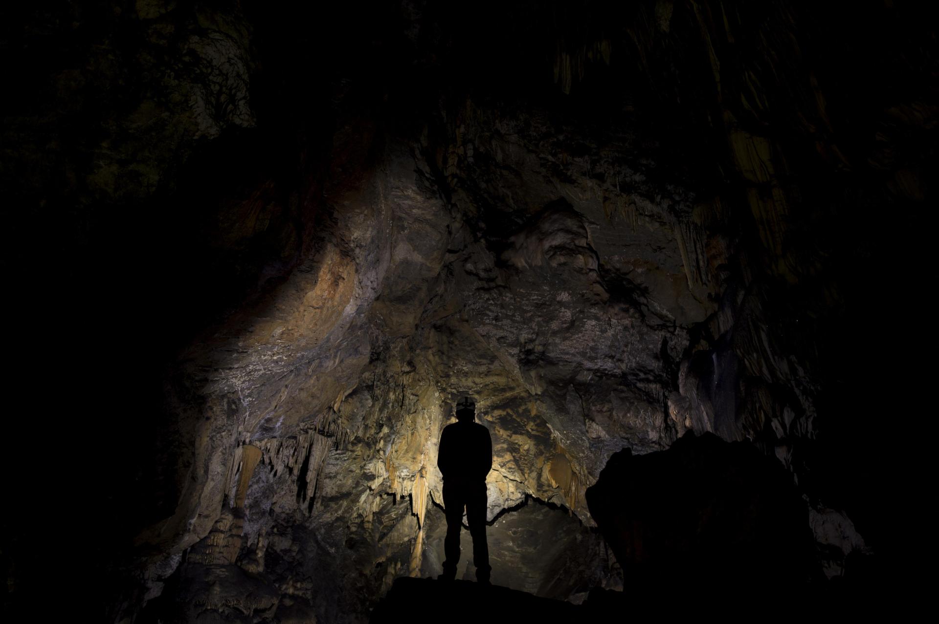 study confirms ancient Spanish cave art was made by Neanderthals ...