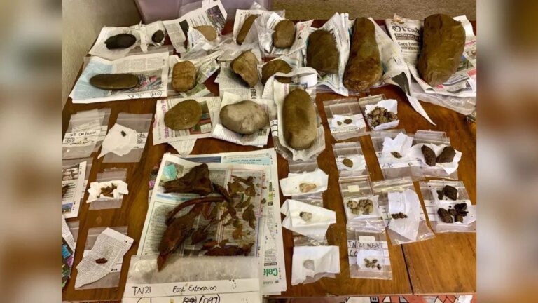 Mysterious stone balls made 5,500 years ago were discovered on the ...