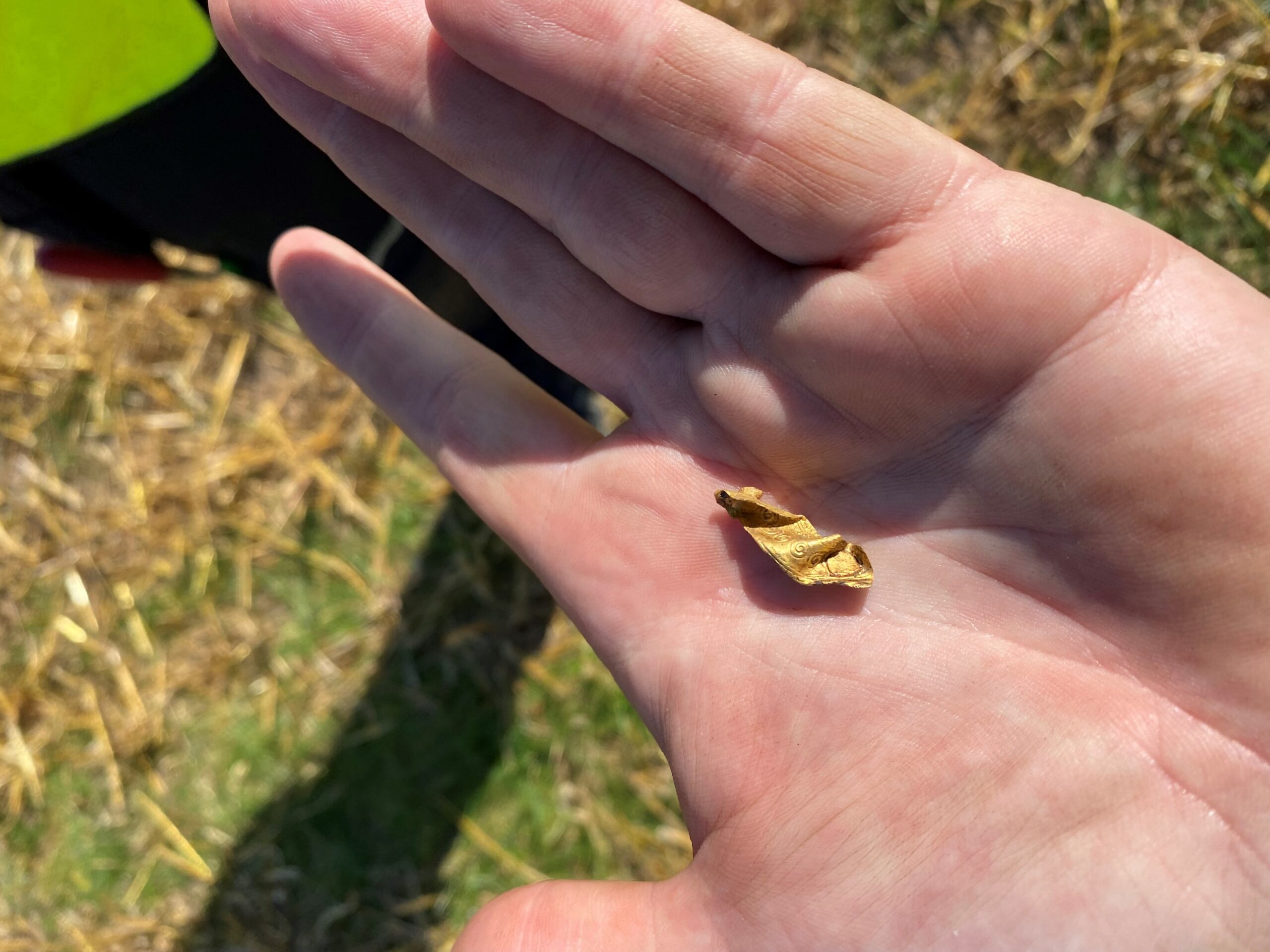 gold in denmark 5 | ARCHAEOLOGY WORLD