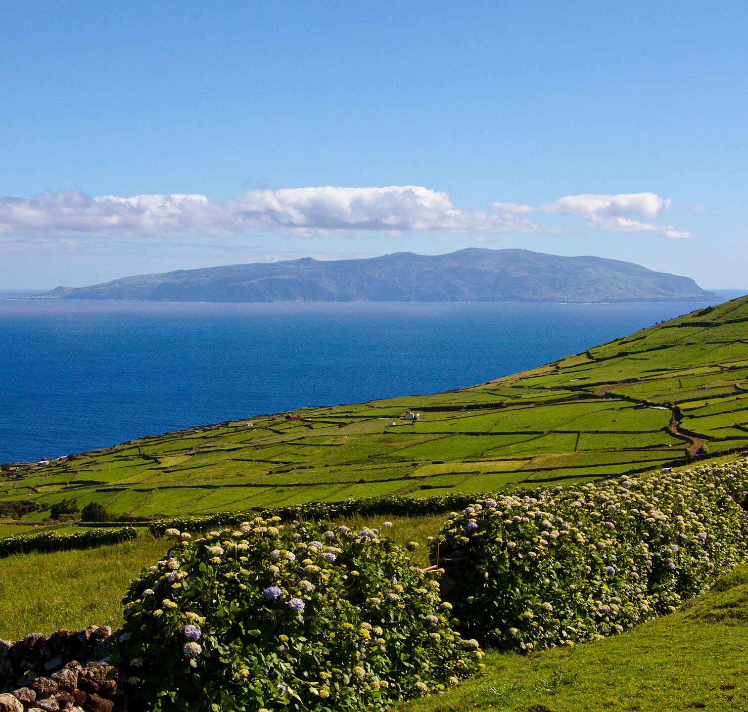 Who Were the First People to Arrive in the Azores? | ARCHAEOLOGY WORLD