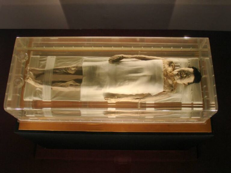 2,000-Year-Old Chinese Mummy still has Blood in her Veins, Making Her ...