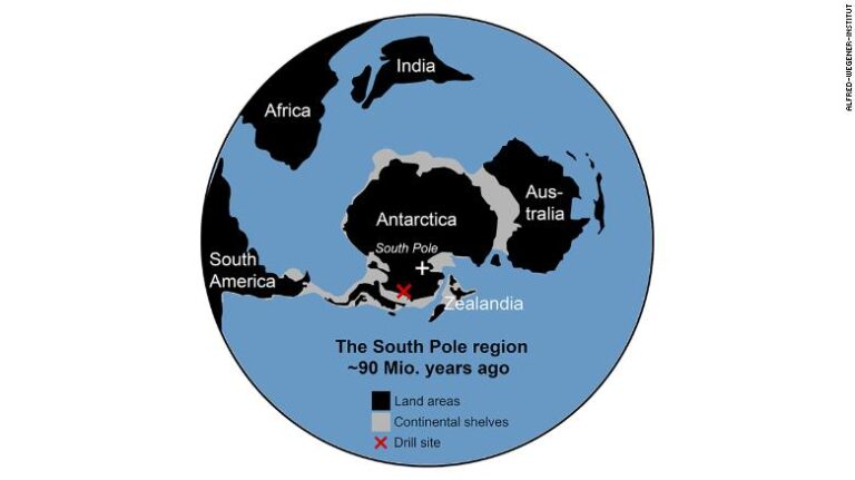 Remains of 90 million-year-old rainforest discovered under Antarctic ...