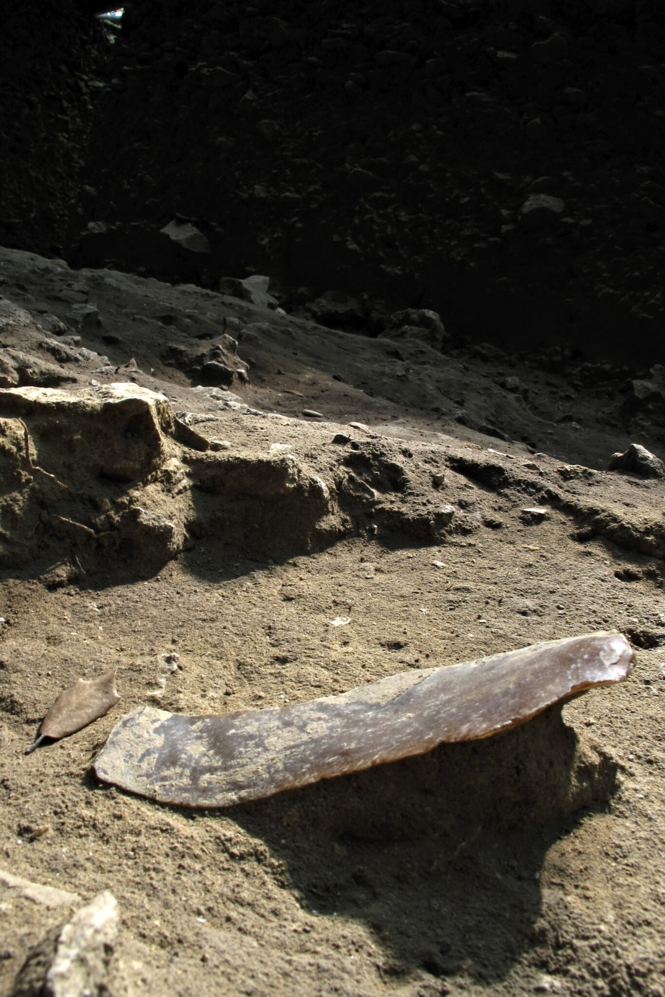 French cave tells a new story about Neanderthals, early humans ...