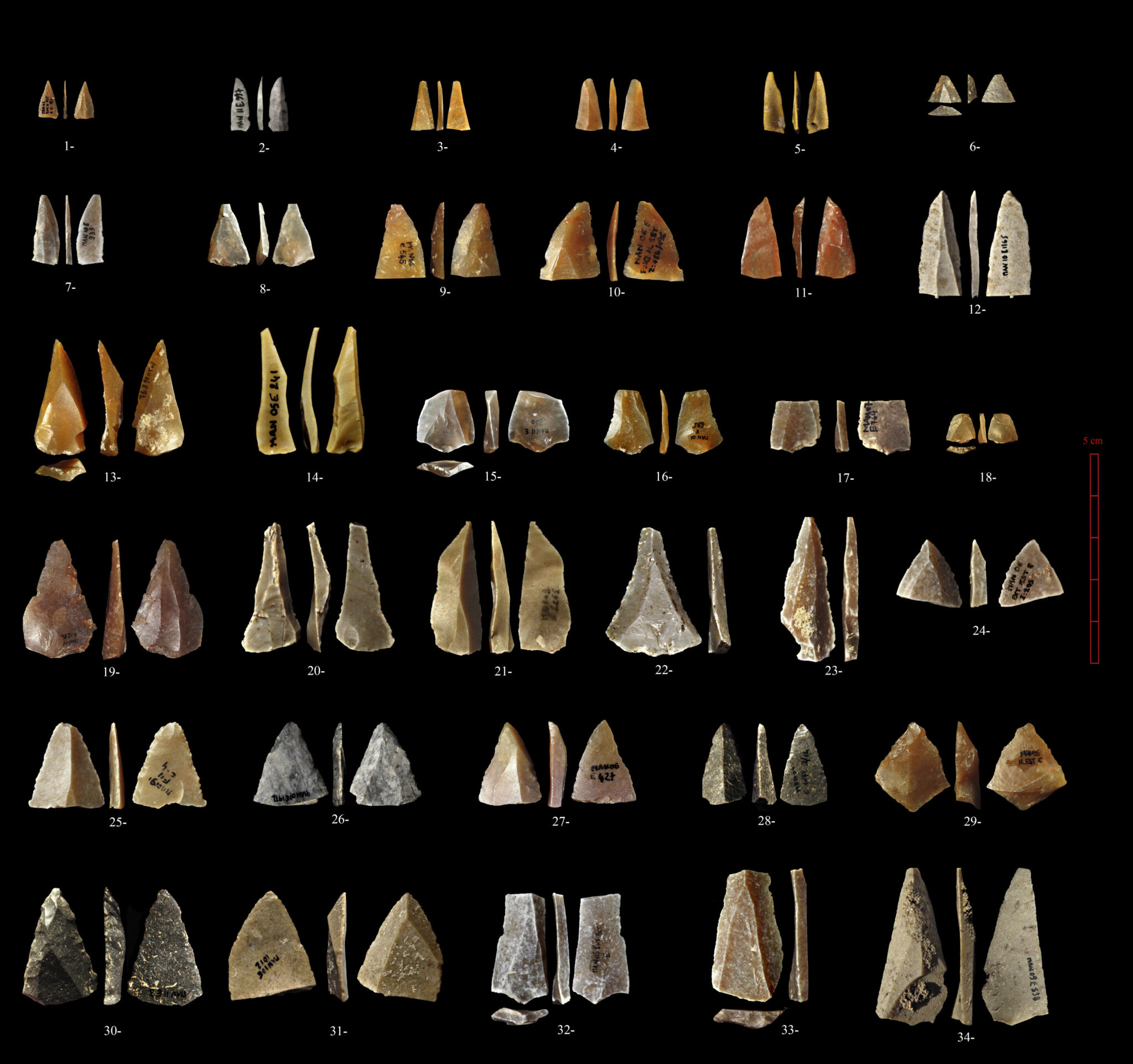 French cave tells a new story about Neanderthals, early humans ...