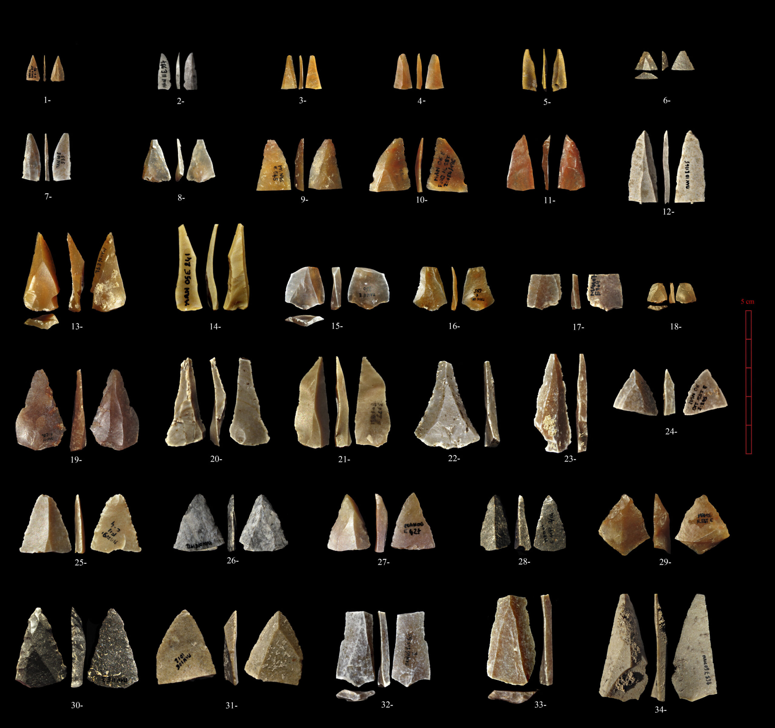 Neanderthals 2 | ARCHAEOLOGY WORLD