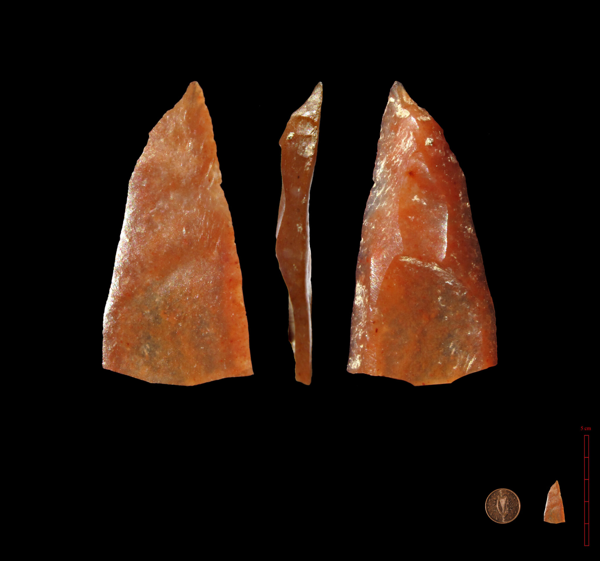 French cave tells a new story about Neanderthals, early humans ...