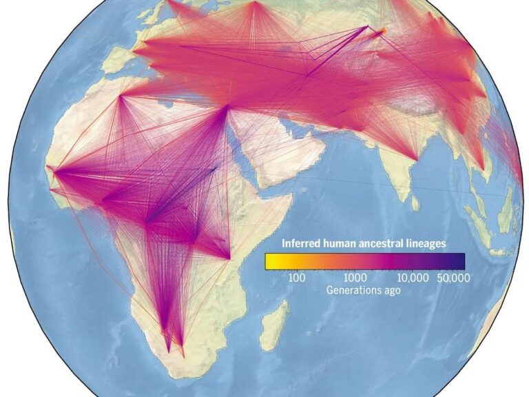 Largest Human Family Tree Identifies Nearly 27 Million Ancestors ...