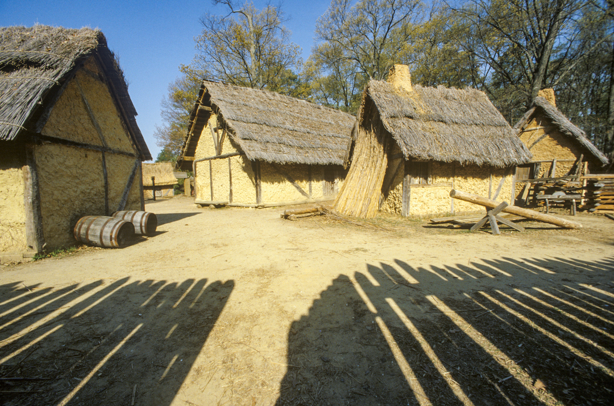 Remains of Ancient American Dogs Identified at Jamestown | ARCHAEOLOGY ...