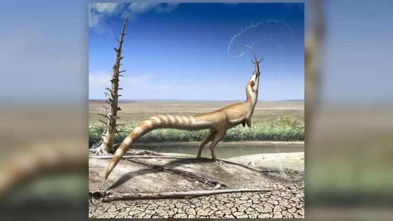 How Do We Know What Color Dinosaurs Were? | ARCHAEOLOGY WORLD