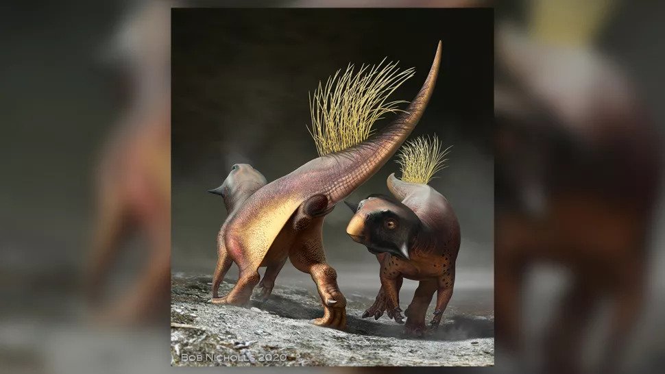 How Do We Know What Color Dinosaurs Were