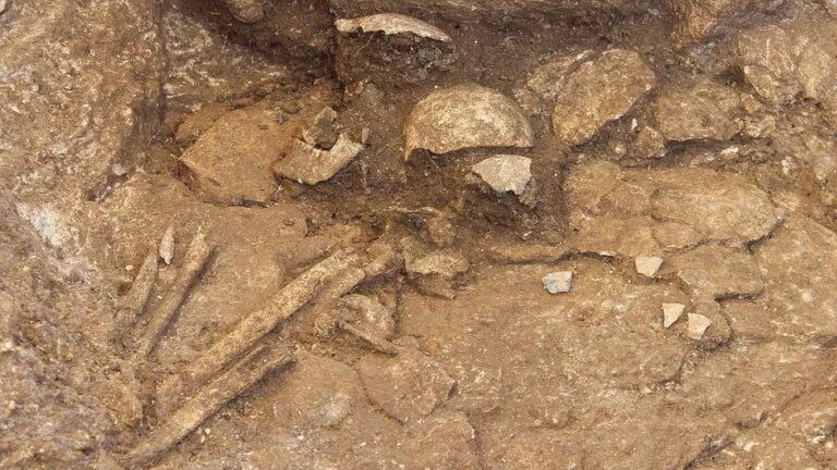 In a burial ground full of Stone Age men, one grave holds a ‘warrior ...